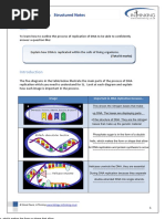 Video Recap of Dna Replication by Amoeba Sisters v2 | PDF