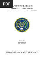 LP Dan Askep Infeksi Saluran Kemih (ISK) | PDF