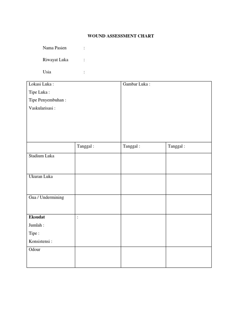 Wound Assessment | PDF