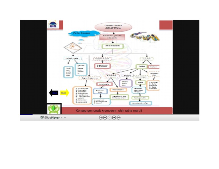 Mind Map Genetika Contoh | PDF