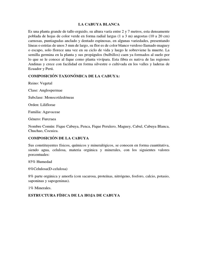 Características y usos de la cabuya blanca | PDF | Hoja | Plantas
