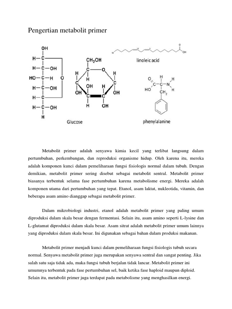 Metabolit Primer | PDF