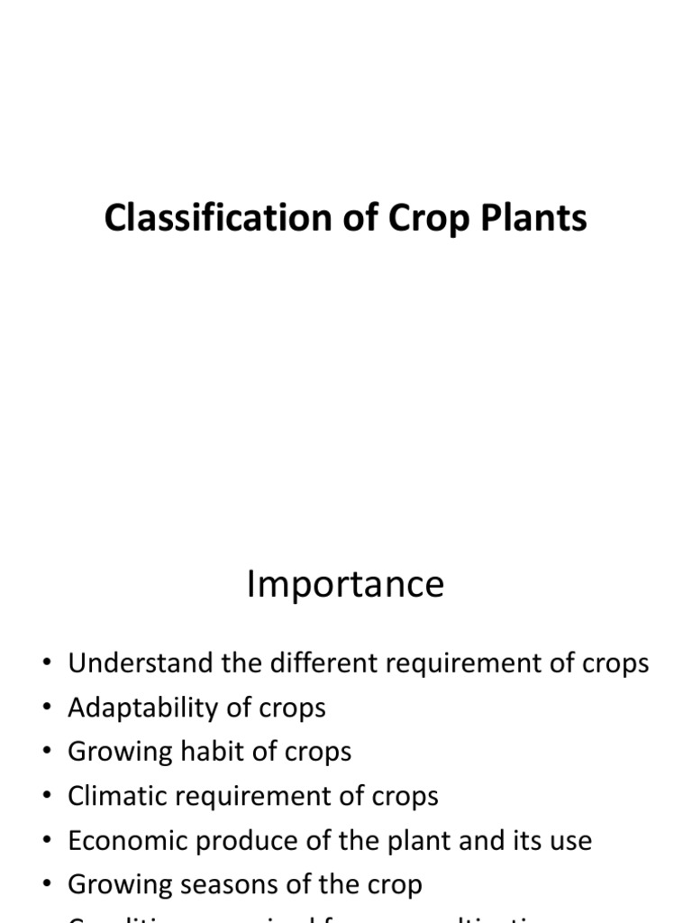 Classification of Crop Plants | PDF | Staple Foods | Cereals