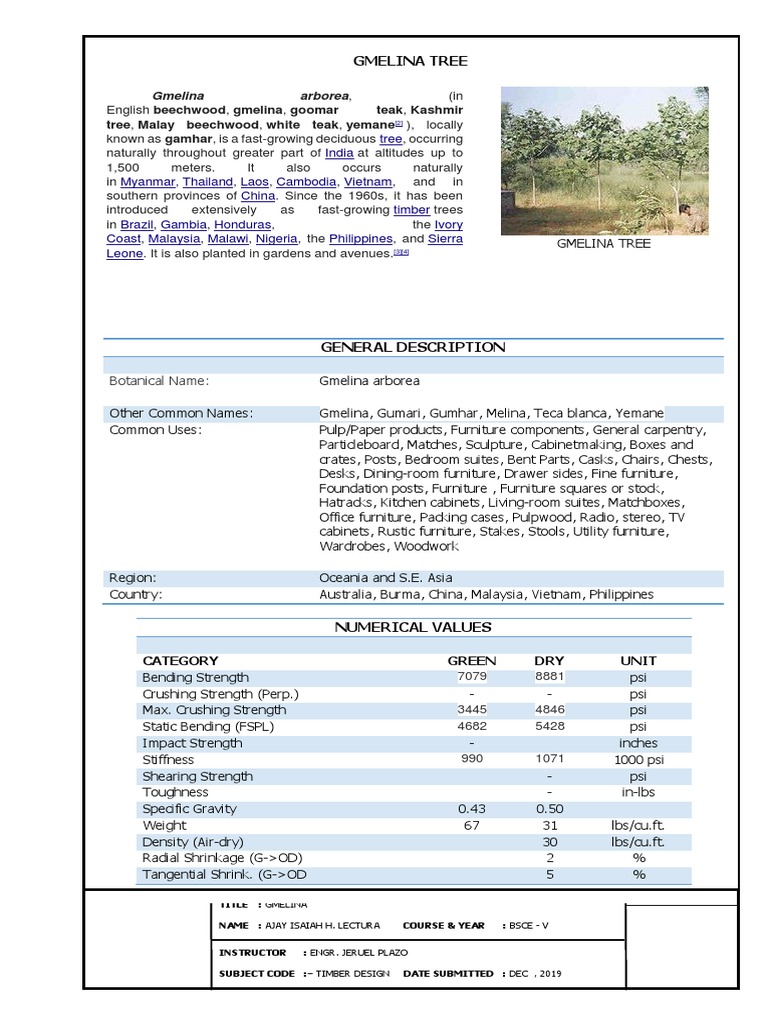 Design of A Tree | PDF | Wood | Building Engineering