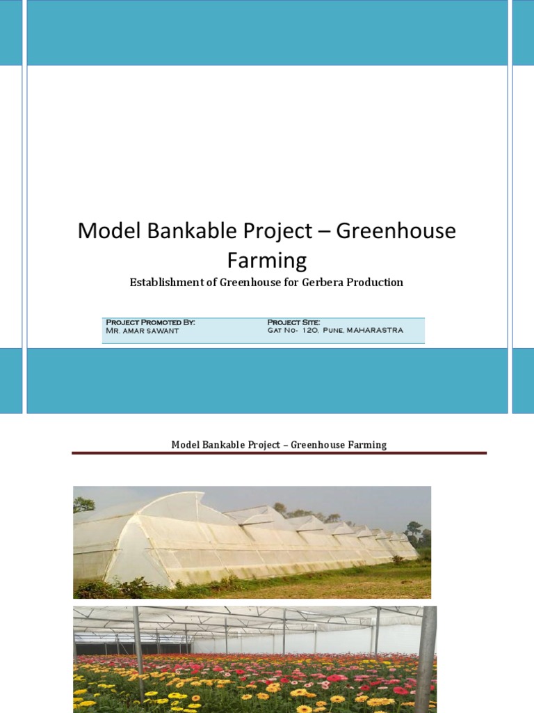 Model Bankable Project - Greenhouse Farming | PDF | Greenhouse ...