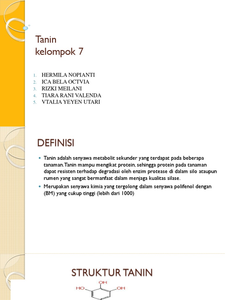 Fitokimia Tanin Kel 7 | PDF