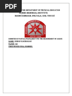 The Sports Development Pyramid | PDF | Sports | Physical Fitness