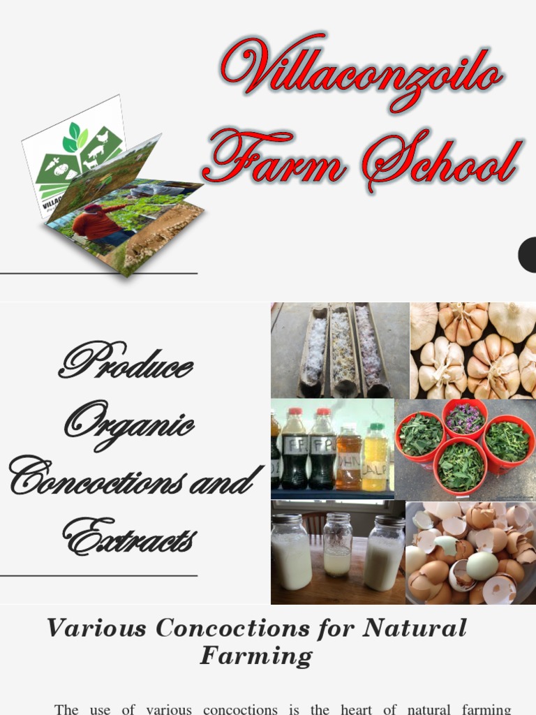 04 Produce Organic Concoctions and Extracts | PDF | Vinegar | Coconut
