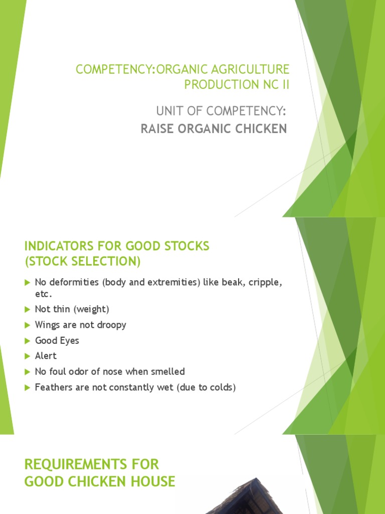 01 Raise Organic Chicken | PDF | Chicken | Foods