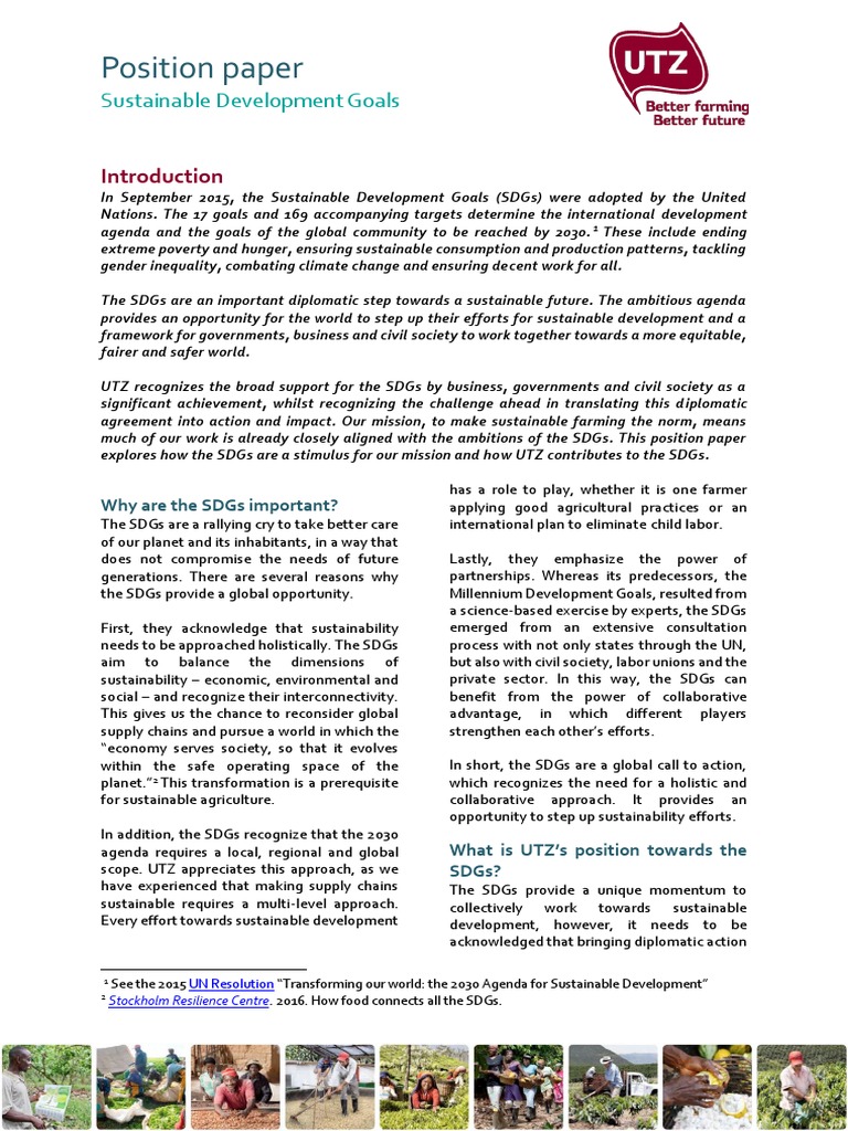 SDGs Position Paper | PDF | International Development | Sustainability