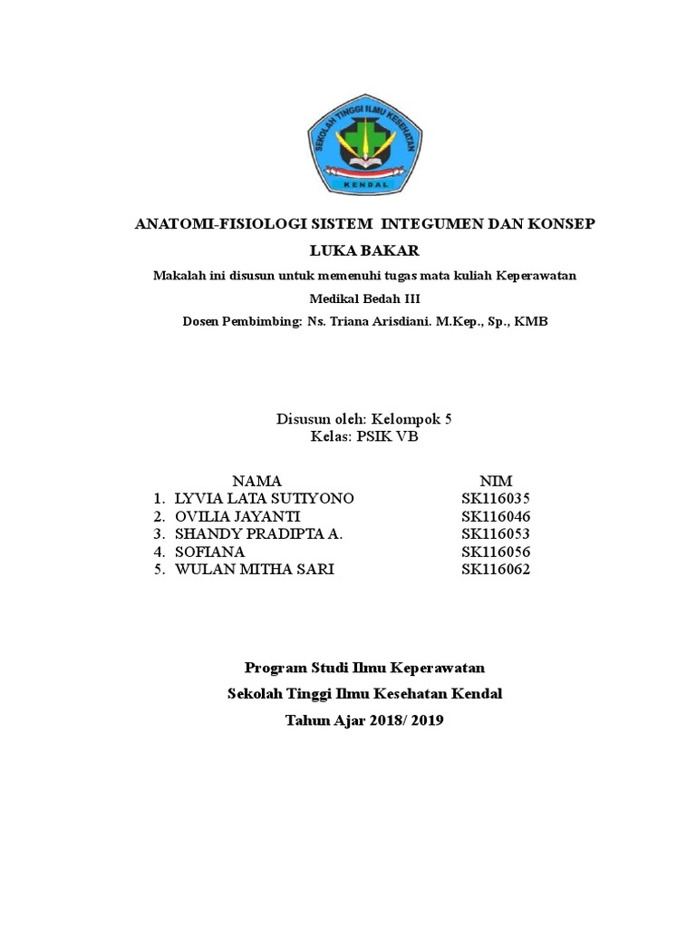 Anfis Sistem Integumen | PDF