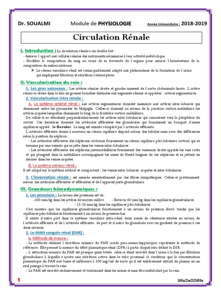 Circulation et Débit Sanguin Rénal | PDF | Rein | Vaisseau sanguin