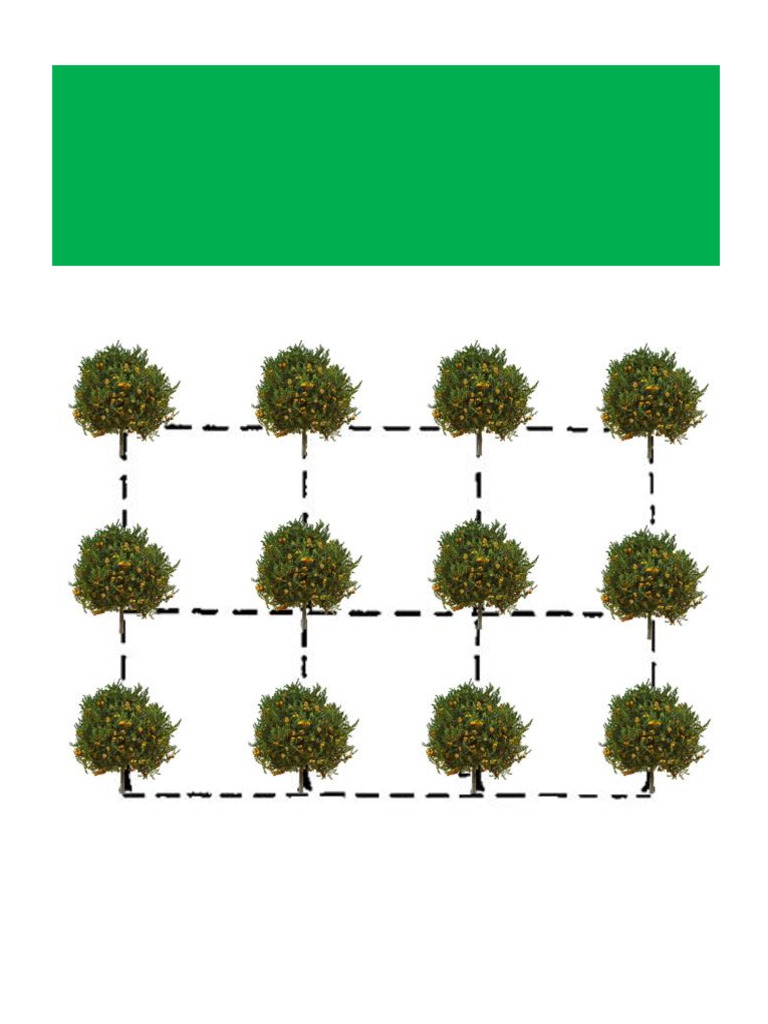 Orchard Layout Design Systems | PDF