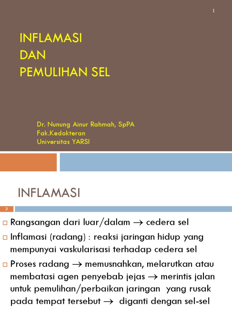 INFLAMASI | PDF