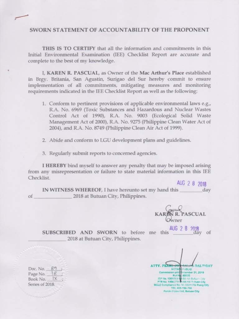 A3a IEE Checklist Sworn Statement | PDF