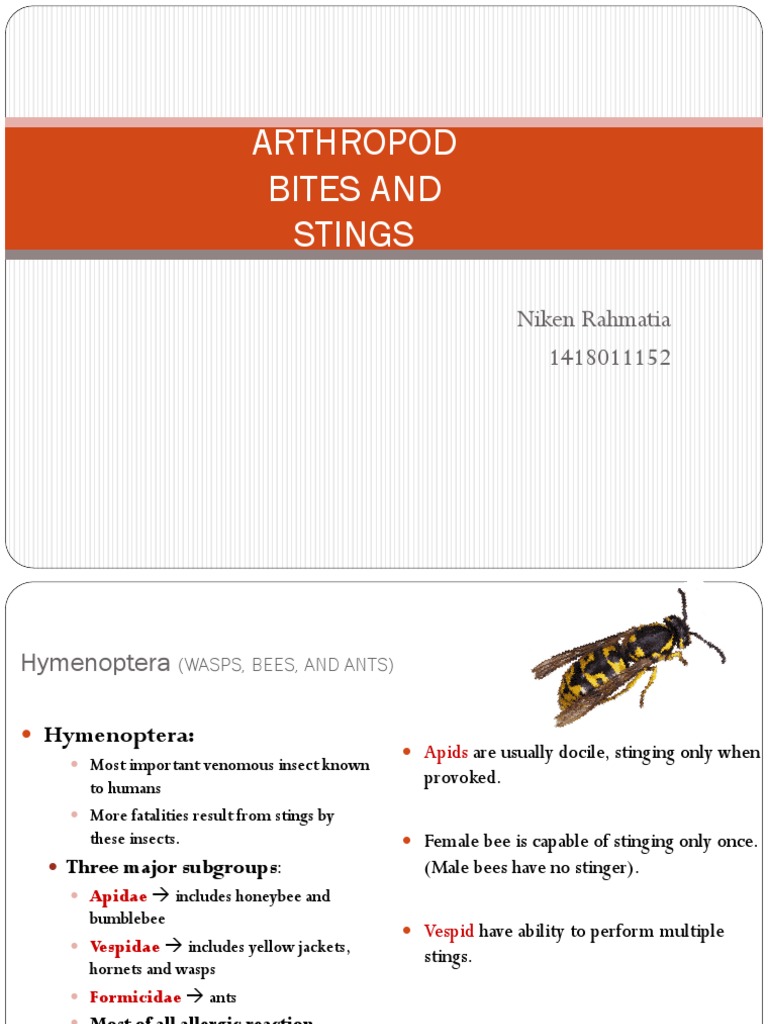Arthropod Bites | PDF | Medical Specialties | Clinical Medicine
