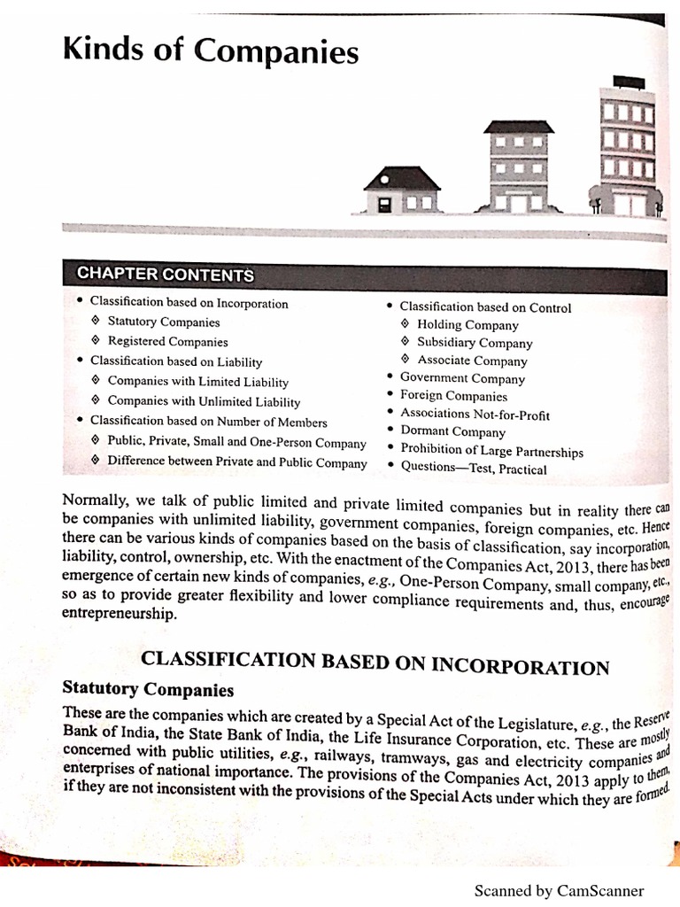 Classification Of Companies Pdf