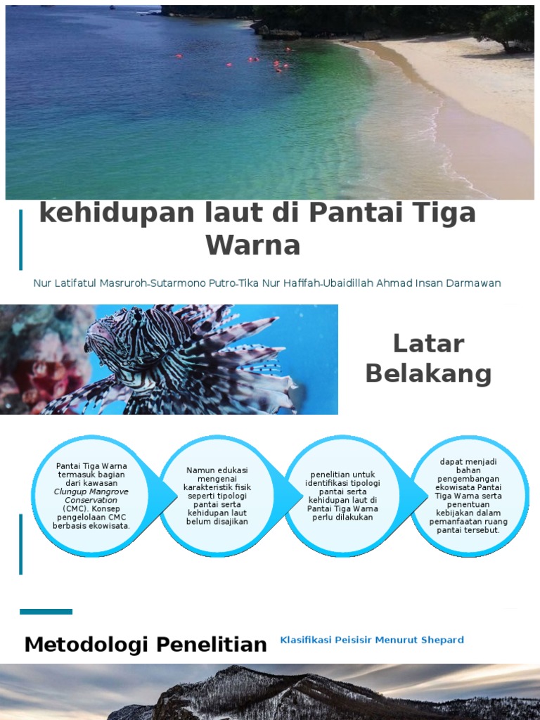 Identifikasi Tipologi Pantai Dan Kehidupan Laut Di Pantai | PDF