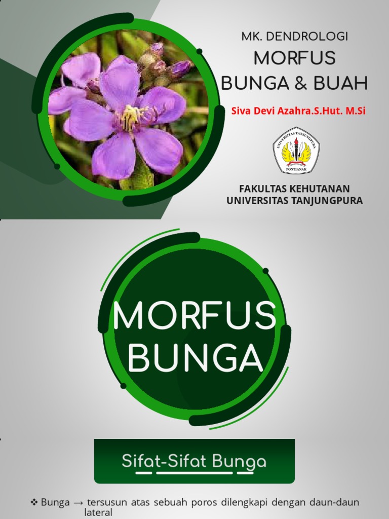 Morfus Bunga Dan Buah | PDF | Seni & Disiplin Bahasa | Sains & Matematika