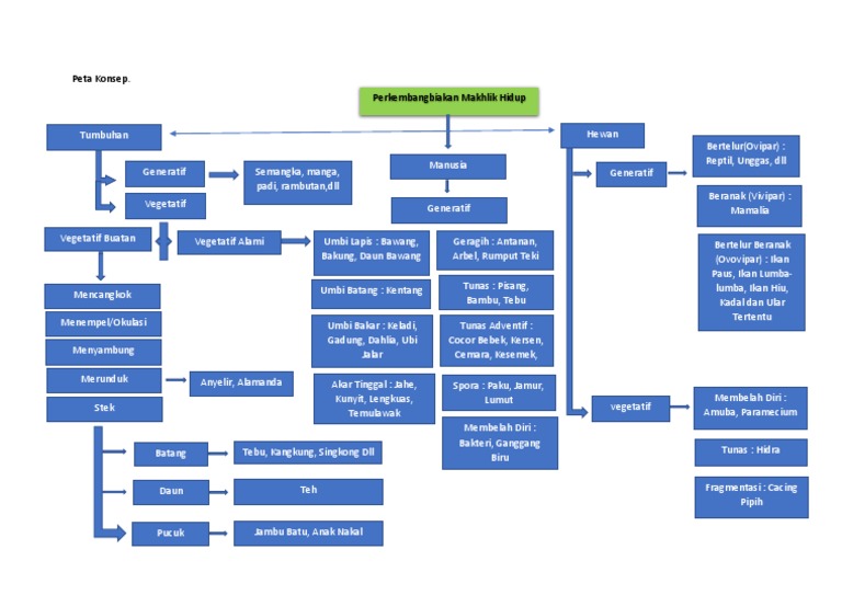 Peta Konsep Ipa | PDF
