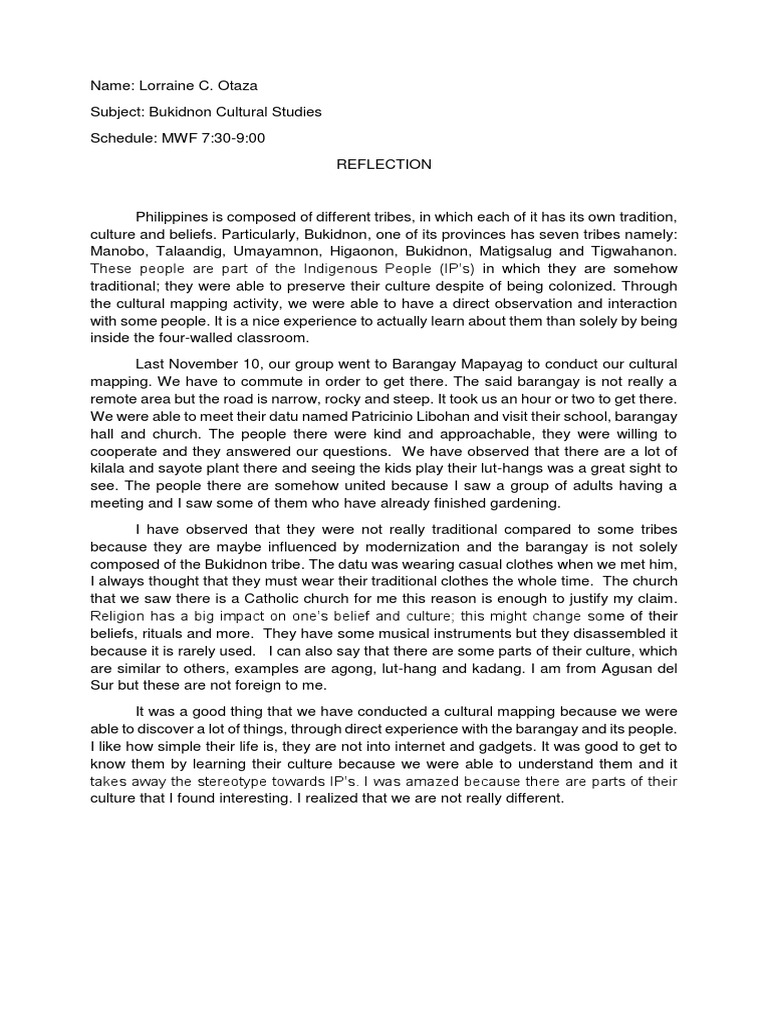 Reflection Cultural Mapping | PDF