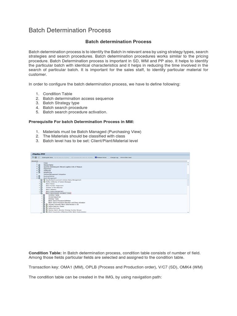 Batch Determination Configuration Guide | PDF | Logistics | Software