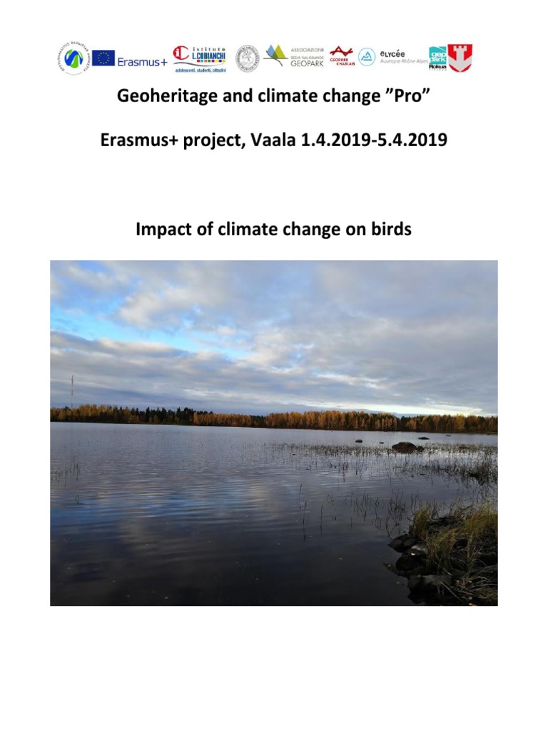 Impact of Climate Change On Birds | PDF | Bird Migration | Birds