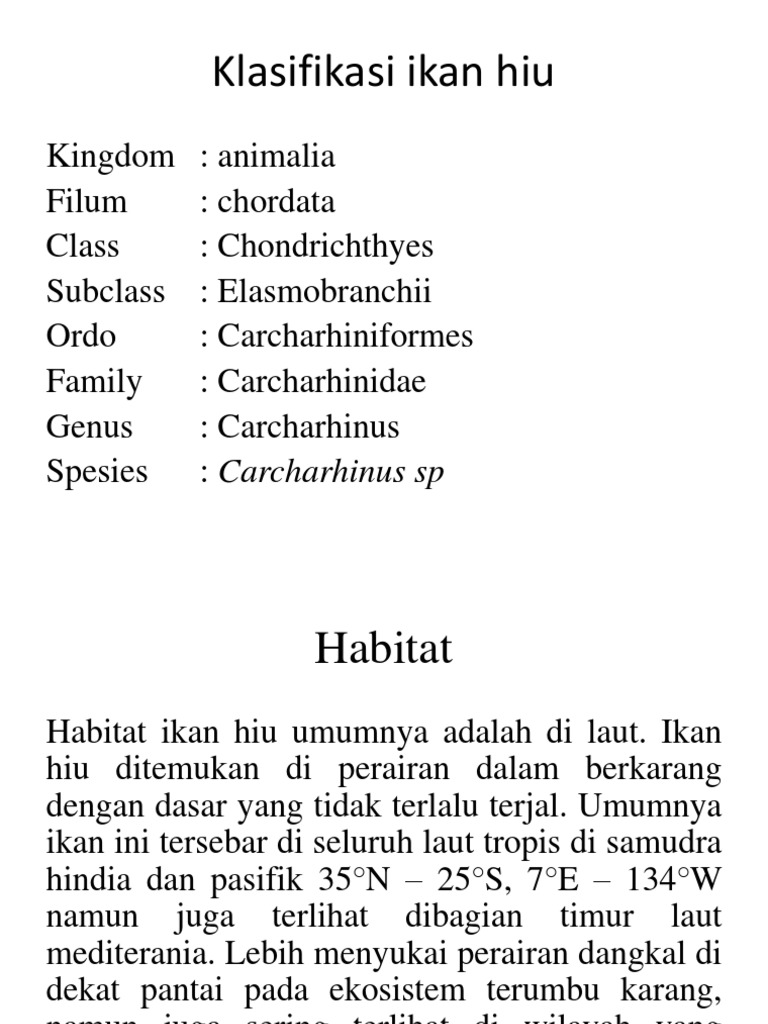 Klasifikasi dan Anatomi Ikan Hiu | PDF | Kesehatan Holistik