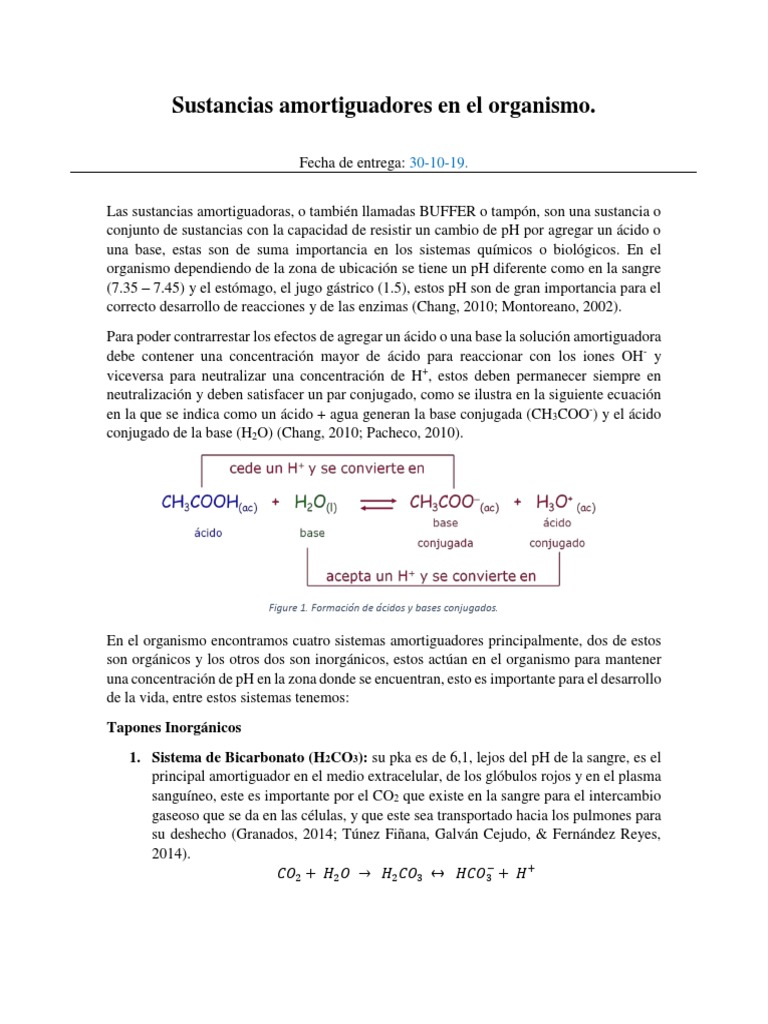 Sustancias Amortiguadores en El Organismo | PDF | Solución tampón | Ph
