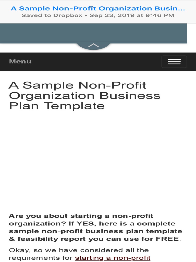 A Sample Non-Profit Organization Business Plan Template ...