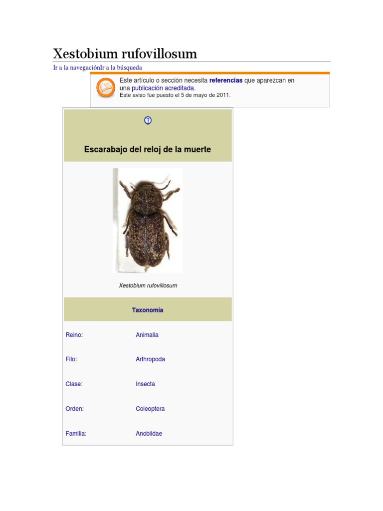 Xestobium Rufovillosum | PDF | Hexapoda | Insectos