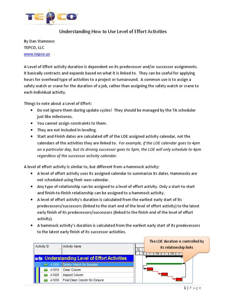 Understanding How To Use Level of Effort Activities PDF | PDF ...