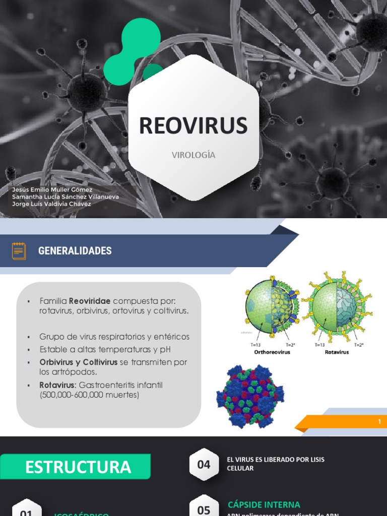 Reovirus | PDF | Virus | Ciencias de la Salud