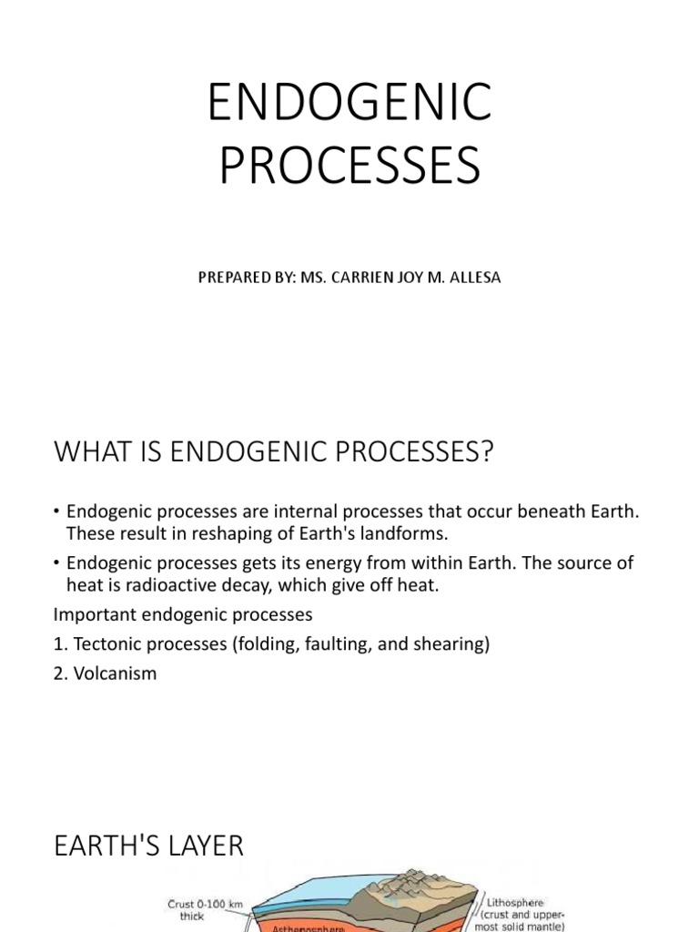Endogenic Processes | PDF | Plate Tectonics | Fault (Geology)