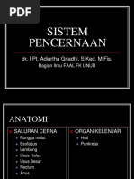 Proses Ingesti dan Digesti Makanan | PDF