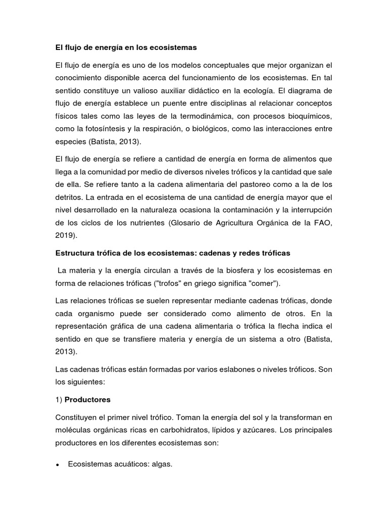 Flujo de Energía en Ecosistemas | PDF | Biogeoquímica | Ecología