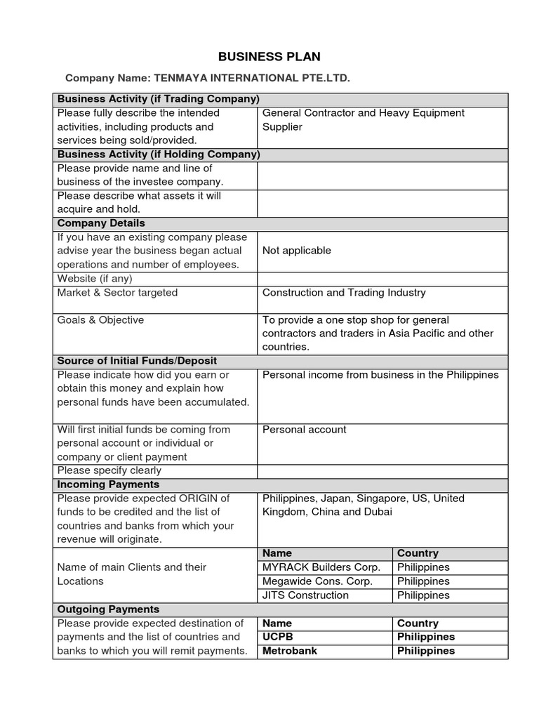 Business Plan New Client 1 1 | PDF | Revenue | Banks