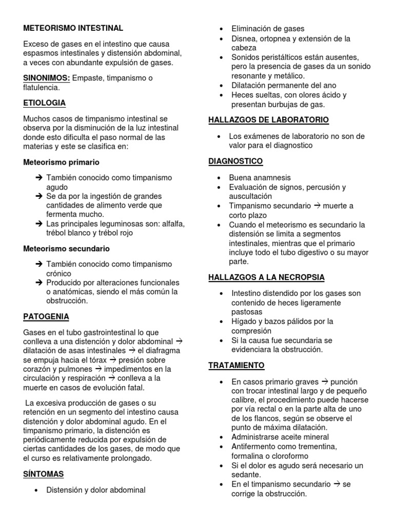 Meteorismo Intestinal: Causas y Tratamiento | PDF | Heces | Abdomen
