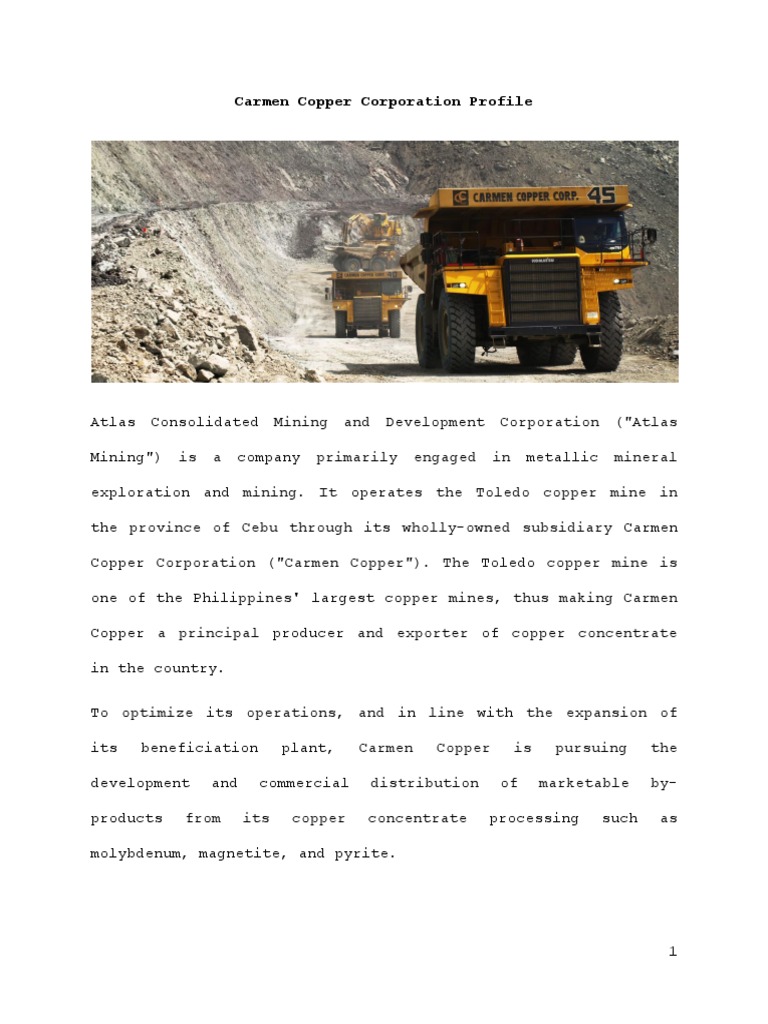 Carmen Copper | PDF | Mining | Sustainability