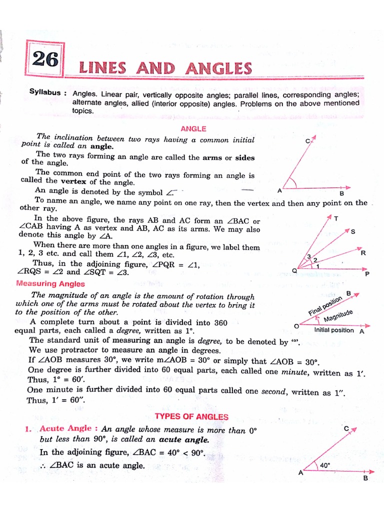 Lines and Angles Icse Class 7 Maths by Rs Agarwal | PDF