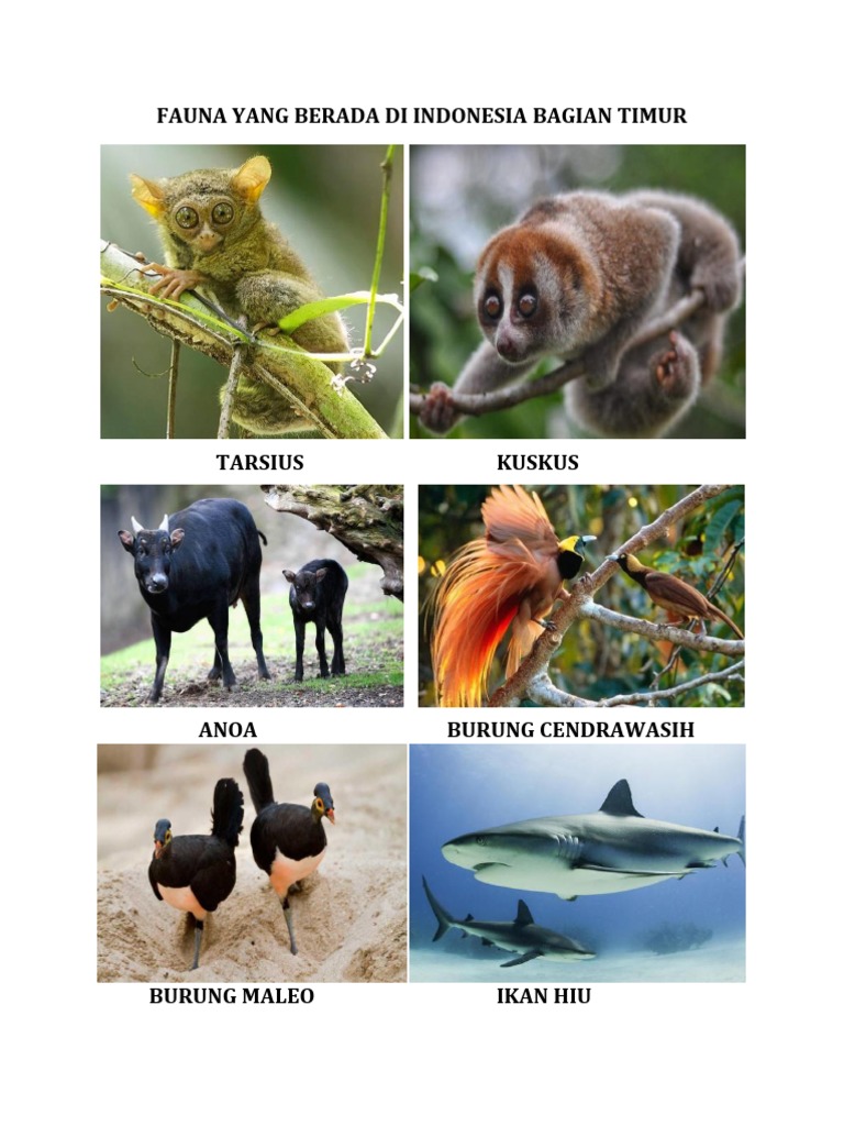 Fauna dan Flora Indonesia Bagian Timur | PDF | Griya & Taman | Sains ...
