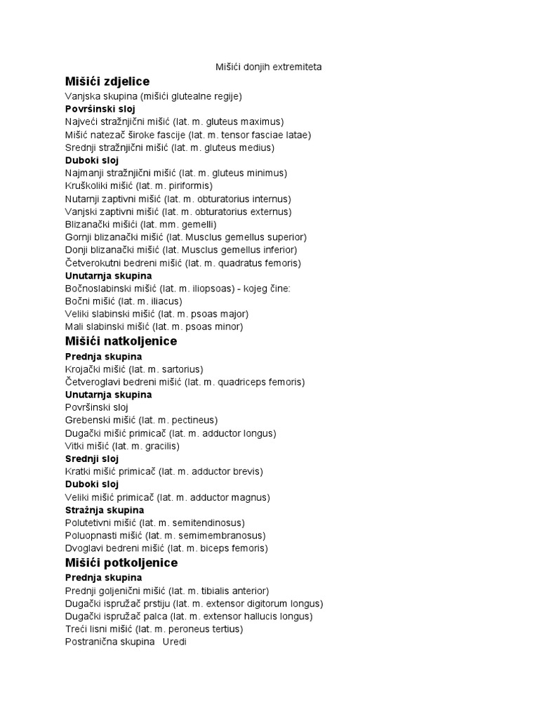 Mišići Donjih Ekstremiteta | PDF