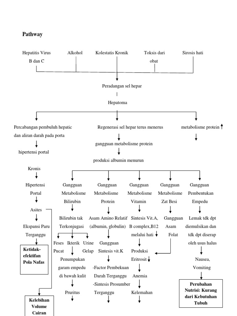 Pathway Sirosis Hepatitis | PDF