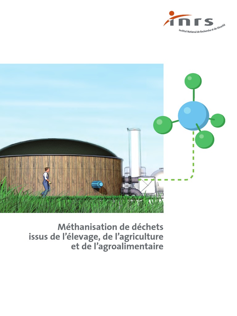 Biomasse Et Biodigesteur | PDF | Biogaz | Méthanisation