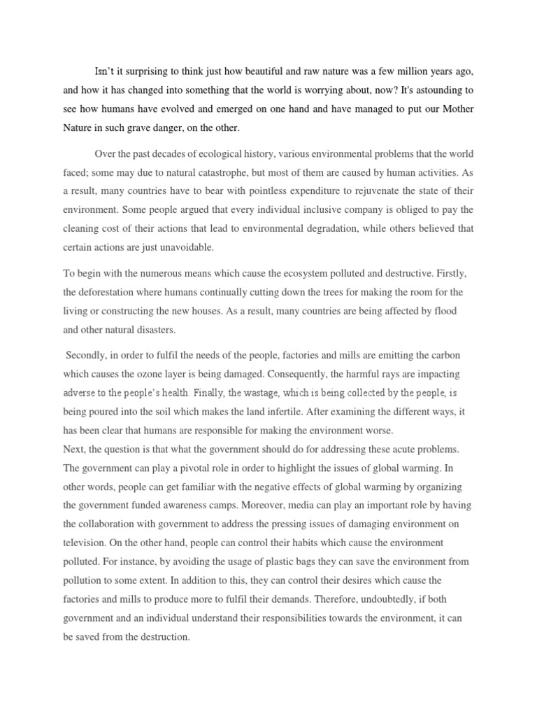 Environmental Problem Essay | PDF | Environmental Issues ...