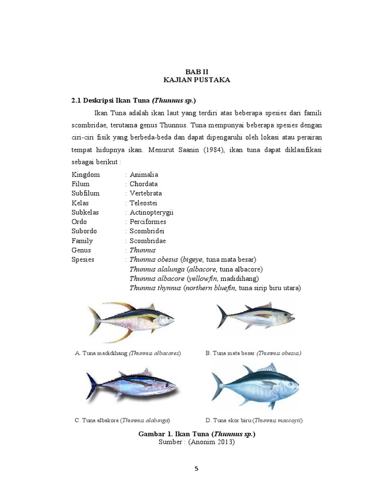 Tuna PDF | PDF