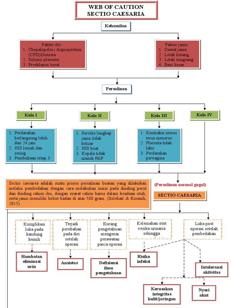 Pathway Persalinan dan Komplikasi SC | PDF