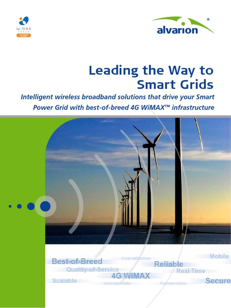 Leading The Way To Smart Grids | PDF | Smart Grid | Electrical Grid