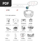 Ortografia BR CR DR FR PR TR VR | PDF