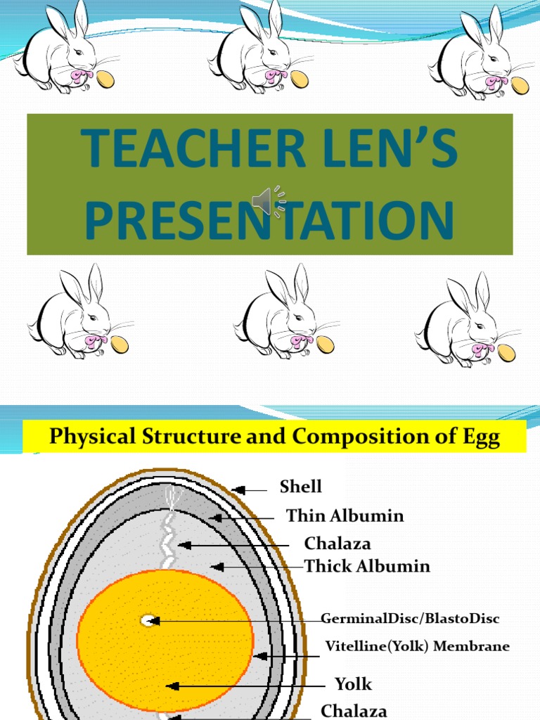 Egg Structure and Composition Overview | PDF | Yolk | Egg White